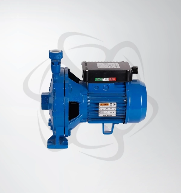 Samnan Riverpure Italian 1 HP Pump Motor - Not Only Pumps